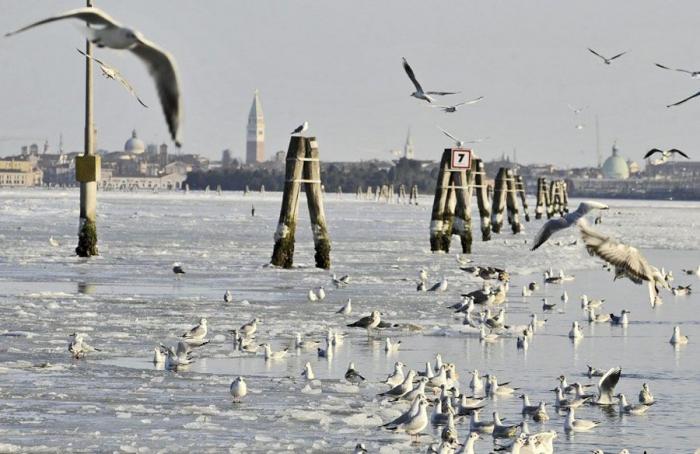 Images and Places, Pictures and Info: venice frozen water