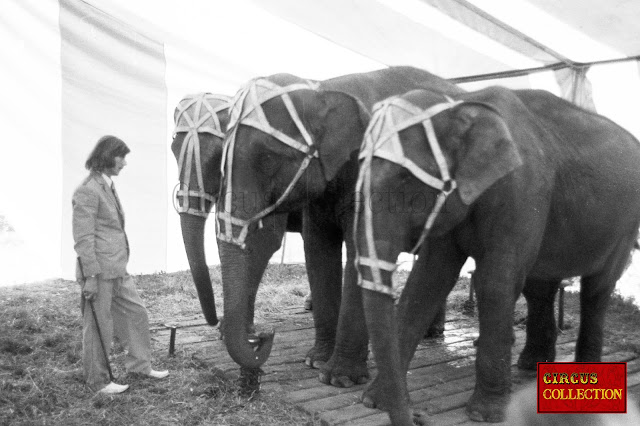 Circus -Collection: Ambiance dans les coulisses du cirque français ...
