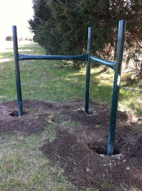 We Love Texas: Fences