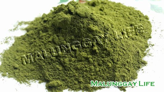 Moringa Farm / MalunggayLife Agri Farm Philippines: Moringa Powder