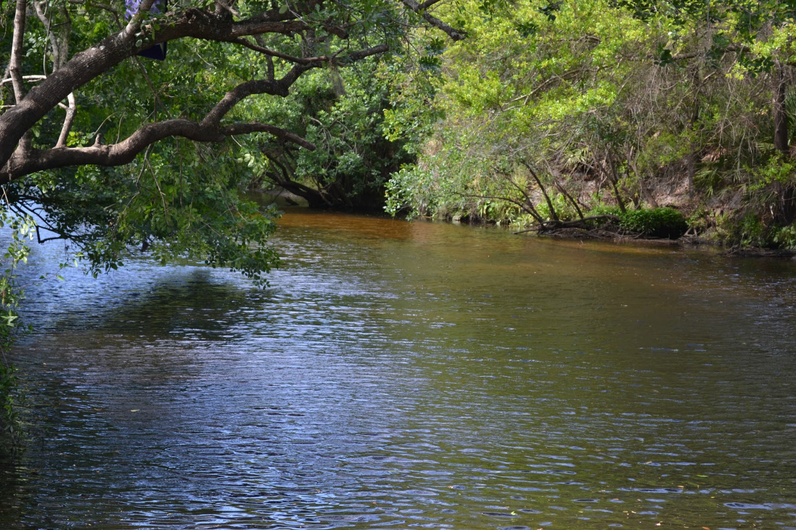 No Bad Days RVing: Little Manatee River State Park