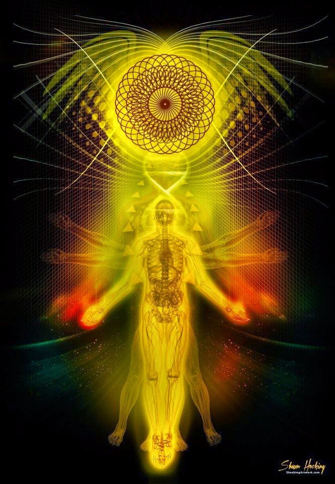 INKA WARRIOR: Robert Lanza y la teoría del Biocentrismo EL OBSERVADOR ...