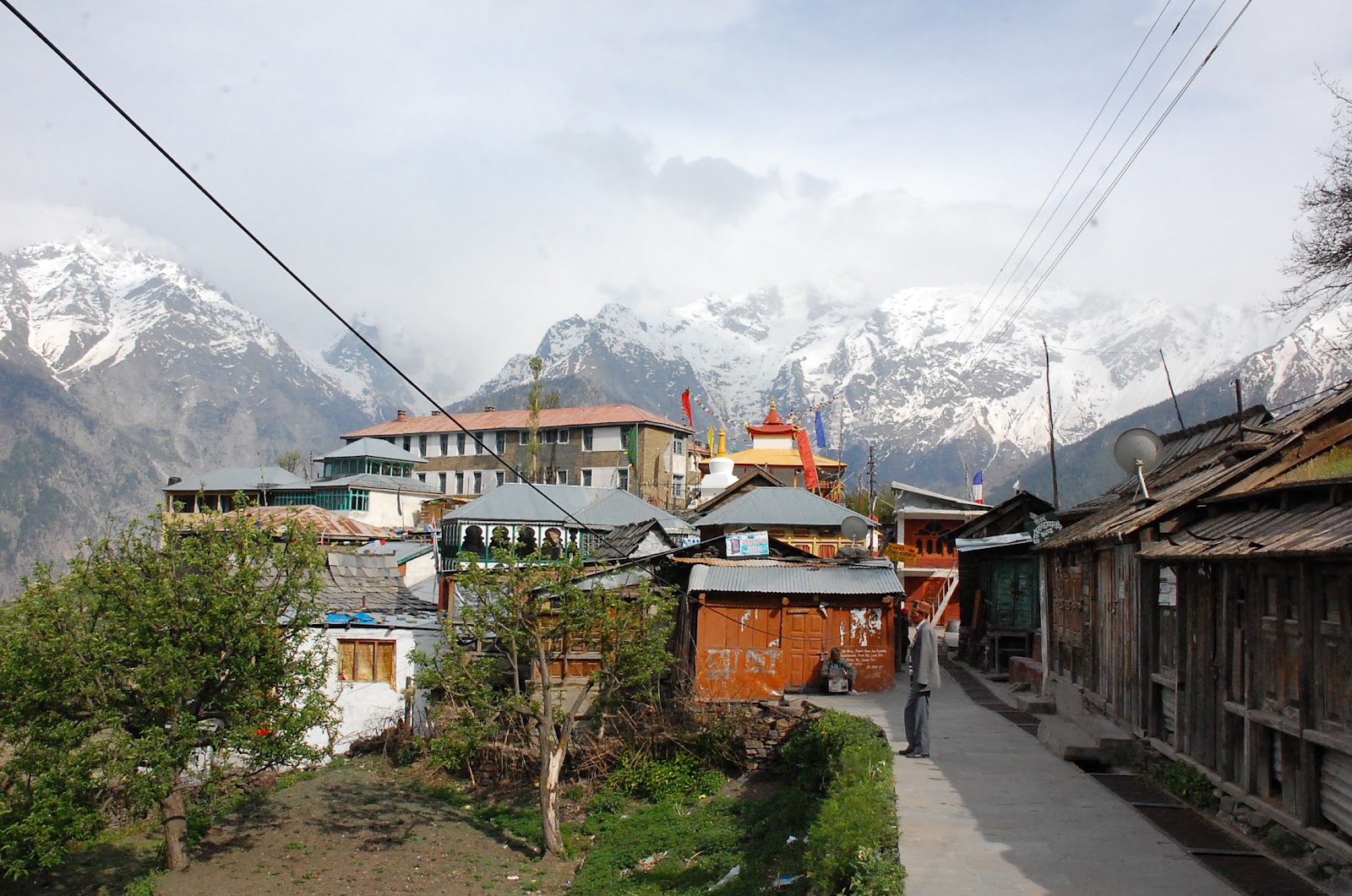 t-traveloqoholic: Kalpa, a lovely village in Kinnaur valley and it is a ...