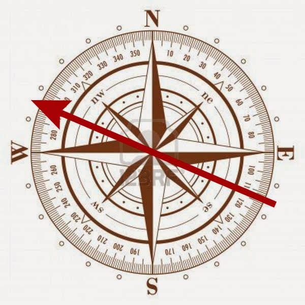 James Gray Masons' Weblog: All You Can See is the Forest Through the ...