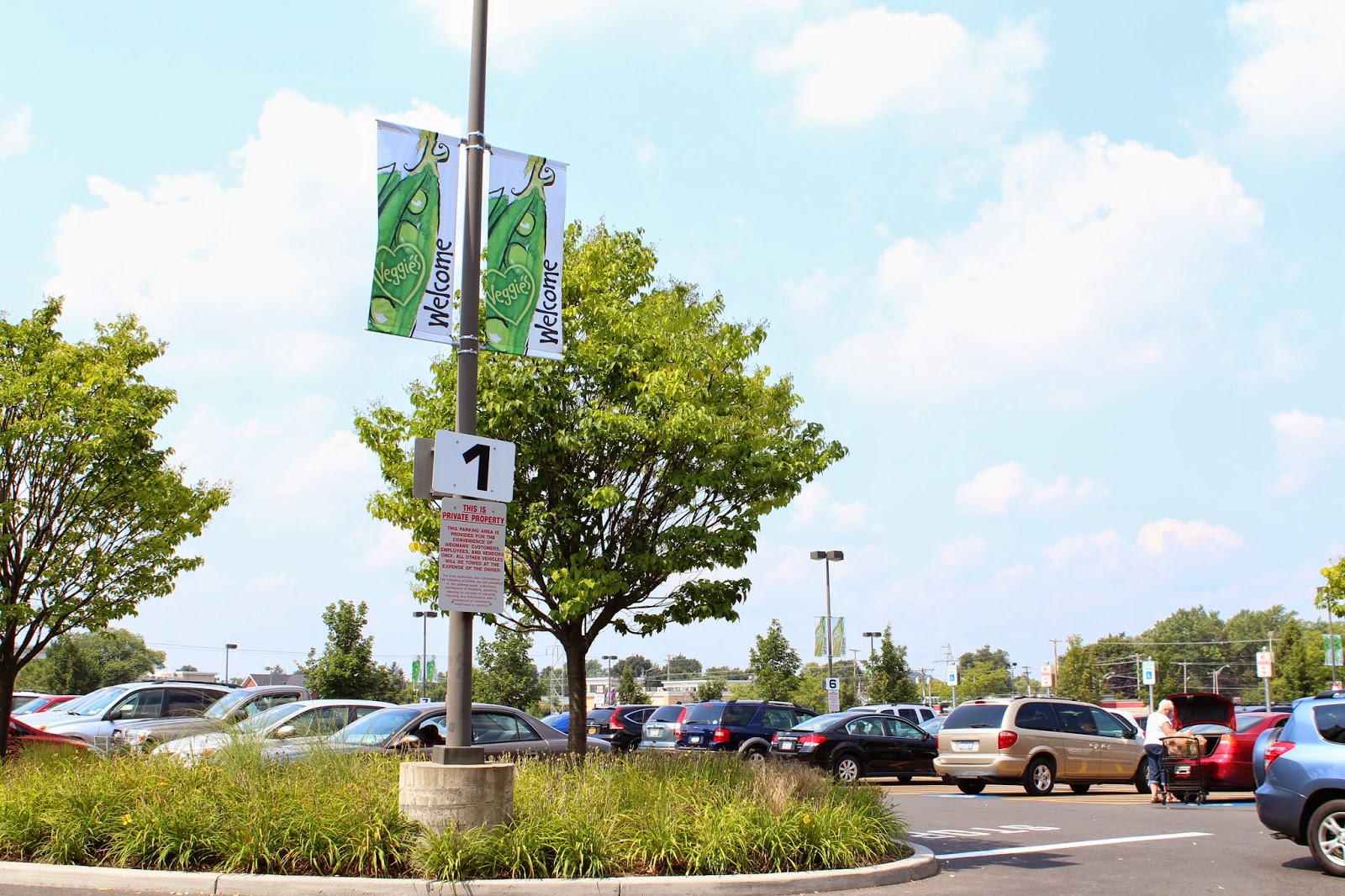 Downtown Decorations, Inc.: Wegmans Veggie Welcome Banners