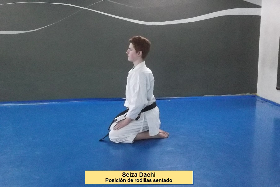KARATE SHITO RYU ASTURIAS: Posiciones de Karate (Tachi Kata).
