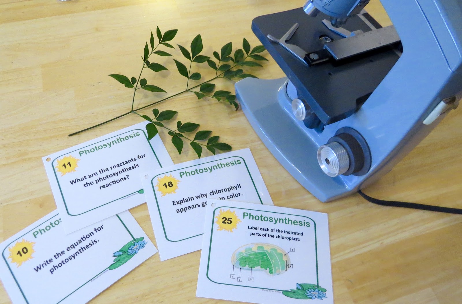 Amy Brown Science: 14 Ways to Use Task Cards in High School Biology