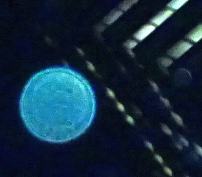 Future and Cosmos: The First Photo Ever Taken of a Mysterious Orb?