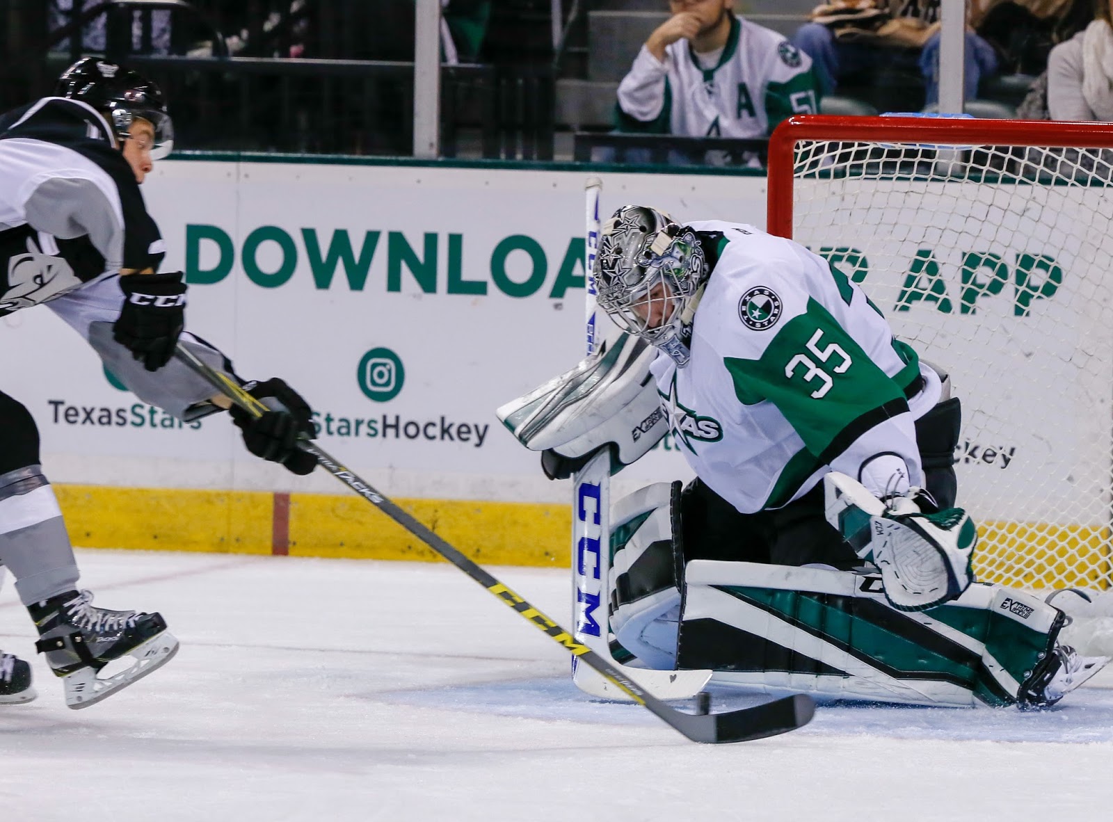 Texas Stars Set Goalie Tandem with Assignment to Idaho