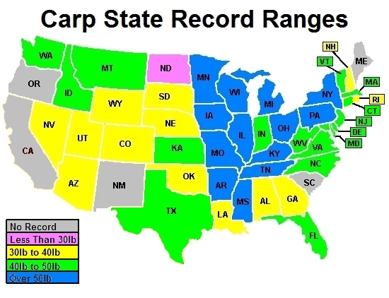 Fly-Carpin: Color Map of State Records