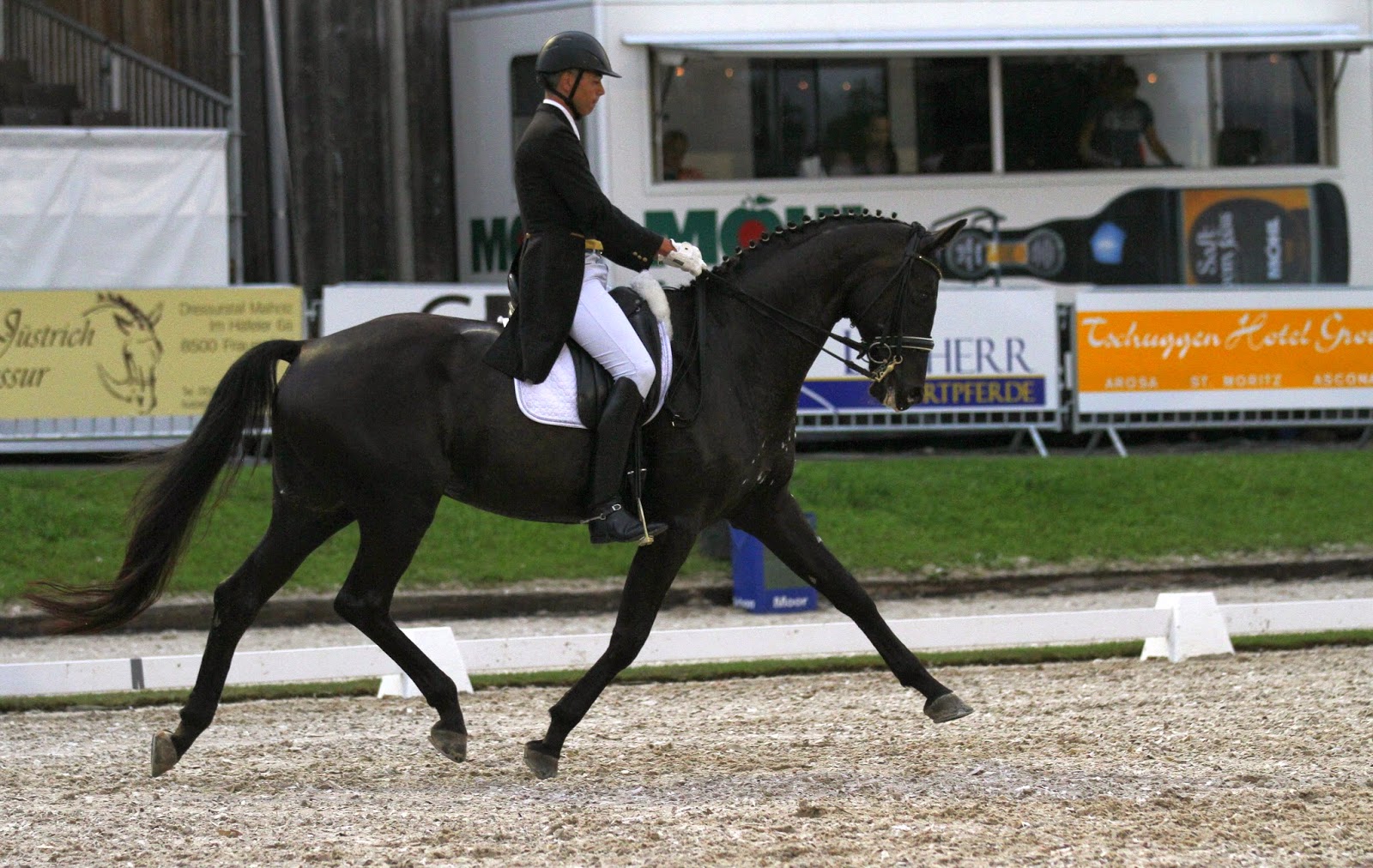 SM Dressur 2014