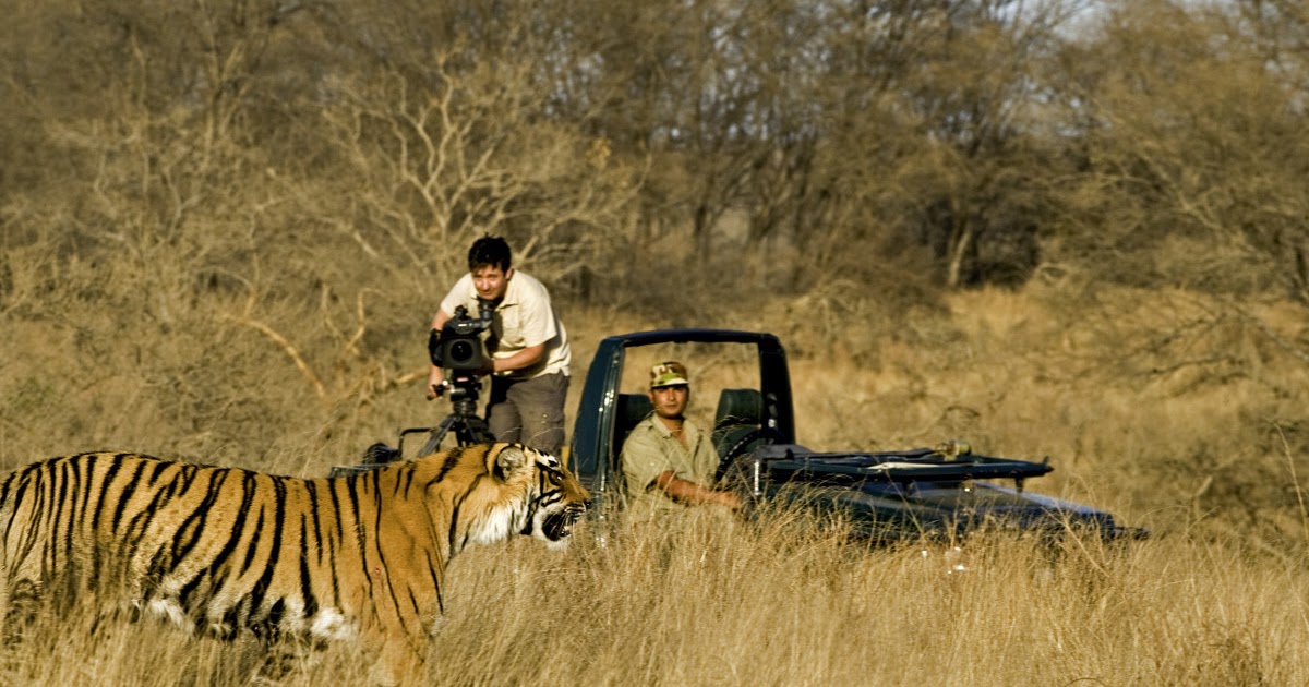 Visit National Parks in India: Wildlife tourism in India