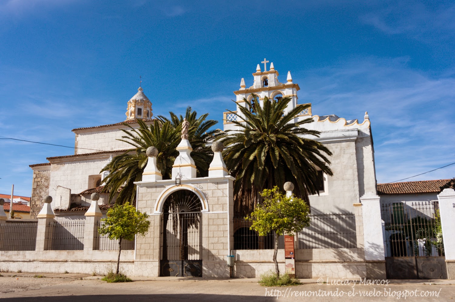 Remontando el Vuelo: Alburquerque, un interesante destino ornitológico