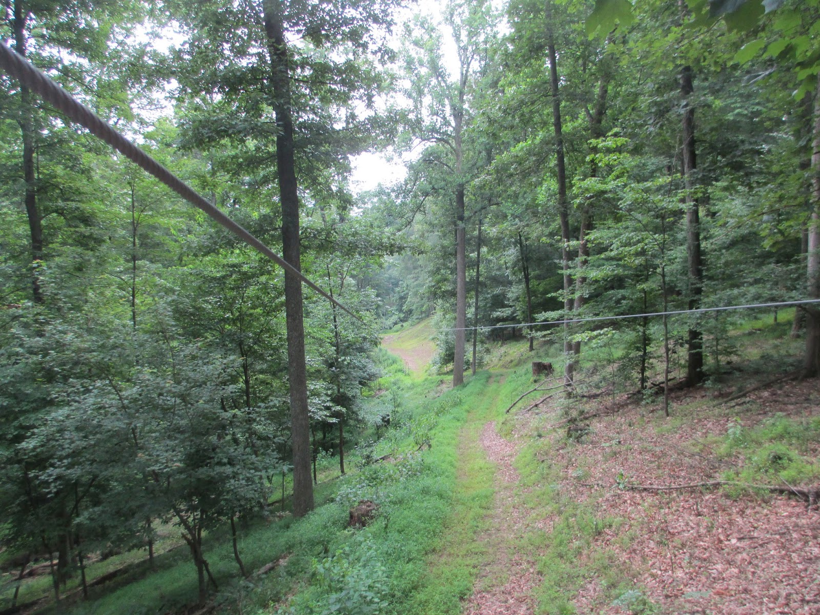 Ziplining Across the USA: Thursday July 4 Explore Brown County Zip Line