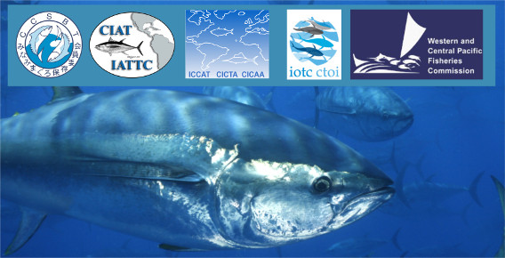 Ricardo Fuentes - ¿Qué es la ICCAT?