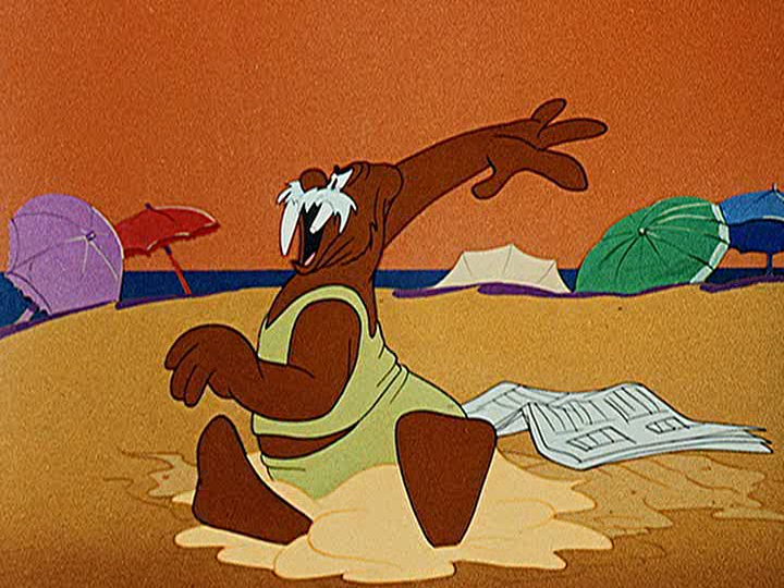 Tralfaz: The Beach Nut