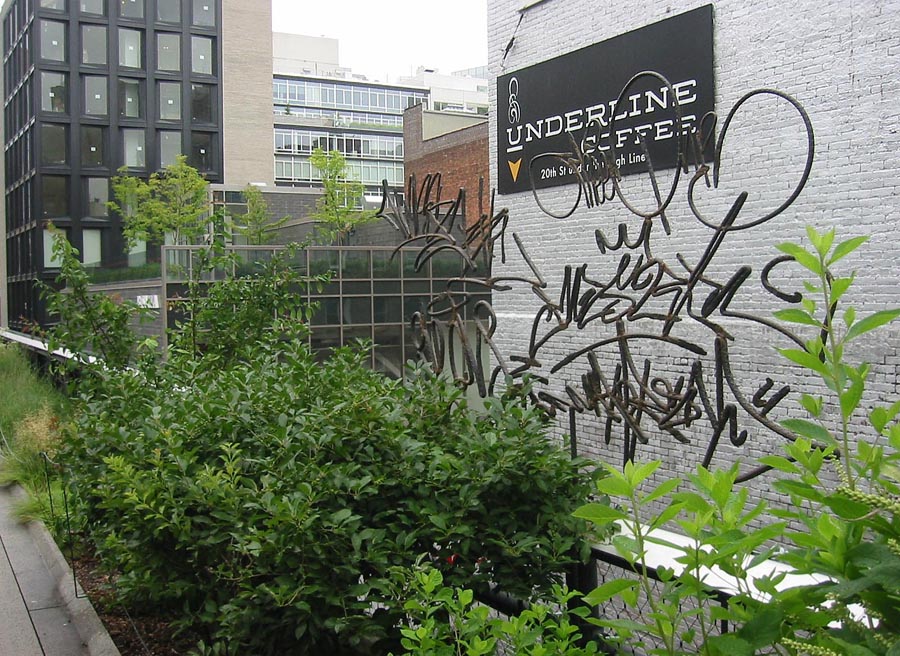 A Leafy Indulgence: High Line Impressions