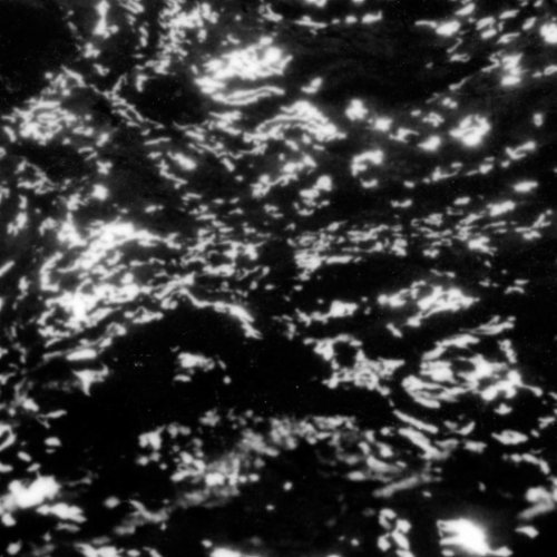 Them Blue Eyes: Grouper - A I A : Alien Observer / A I A : Dream Loss