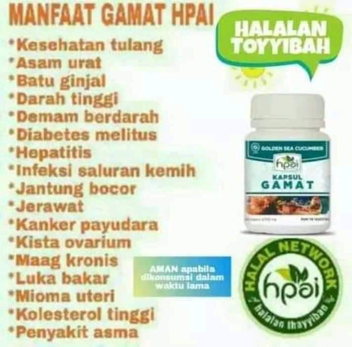 Juniar Halal Mart: KAPSUL GAMAT: EKSTRAK GAMAT EMAS