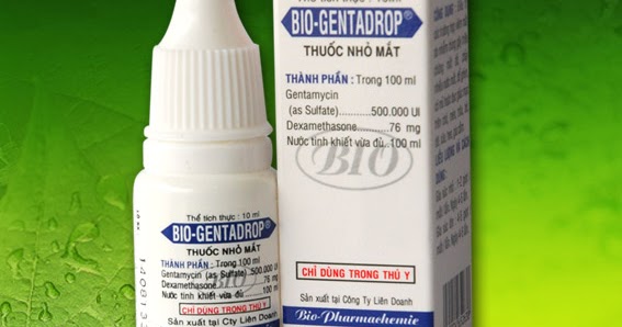 Thuốc nhỏ mắt Bio Genta drop | pet shop
