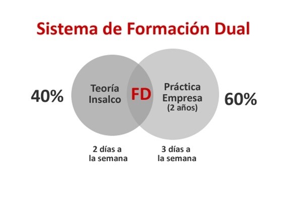 El mexiquense Hoy: El sistema de Formación Dual Como instrumento de ...