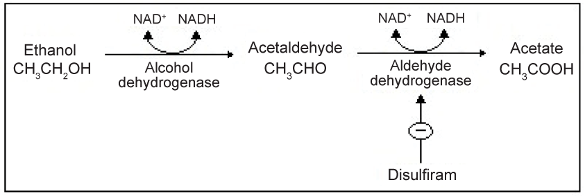 What are the drugs producing disulfiram like reactions?