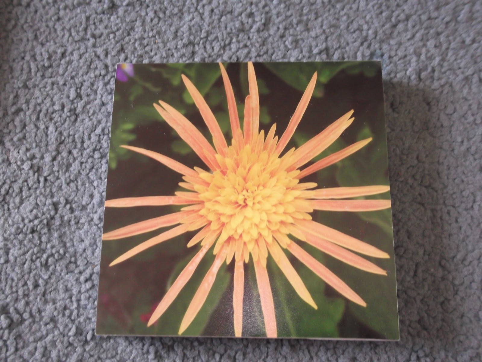 Picture Blocks: flower on 10cm x 10cm by 12mm MDF Block - ready to hang ...