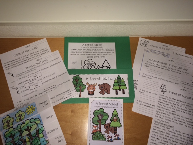 Clever Classroom Contributions!: Layers of the Forest & Forest Habitats