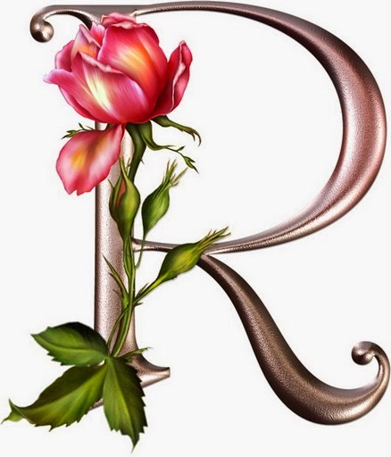 Alfabeto rosas lindo! Abc letras cor de rosa com flores com rosas ...