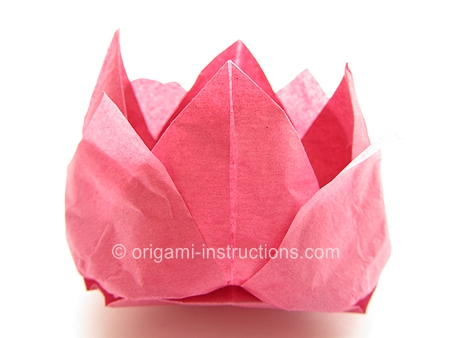 Origami-Instructions.com: Origami Tissue Lotus