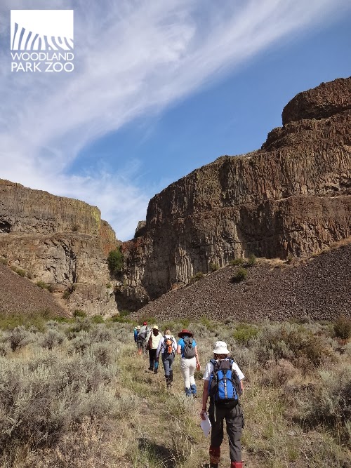 Earn your Master's with Woodland Park Zoo