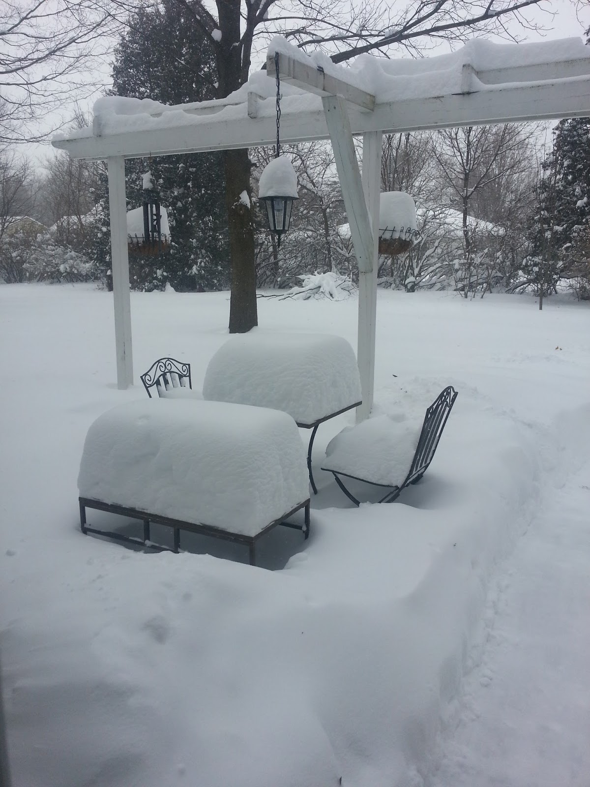 Pure Michigan and Perfect Paragraph Planning - I Want to be a Super Teacher