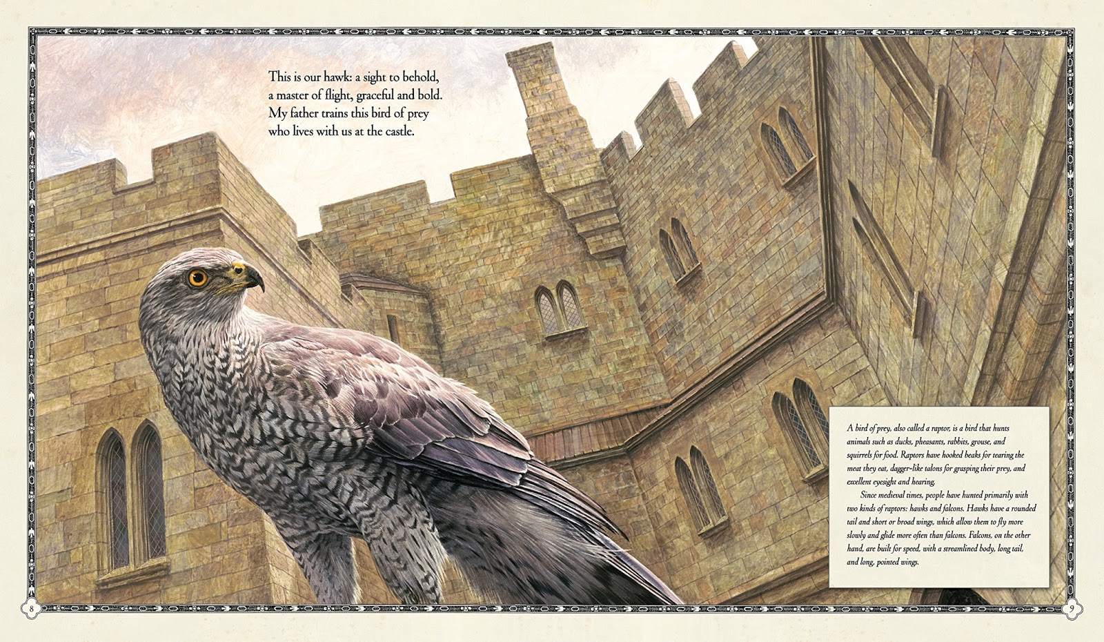 Bird Brainz: Birds, Birding, and Books: The Hawk of the Castle: A Story ...