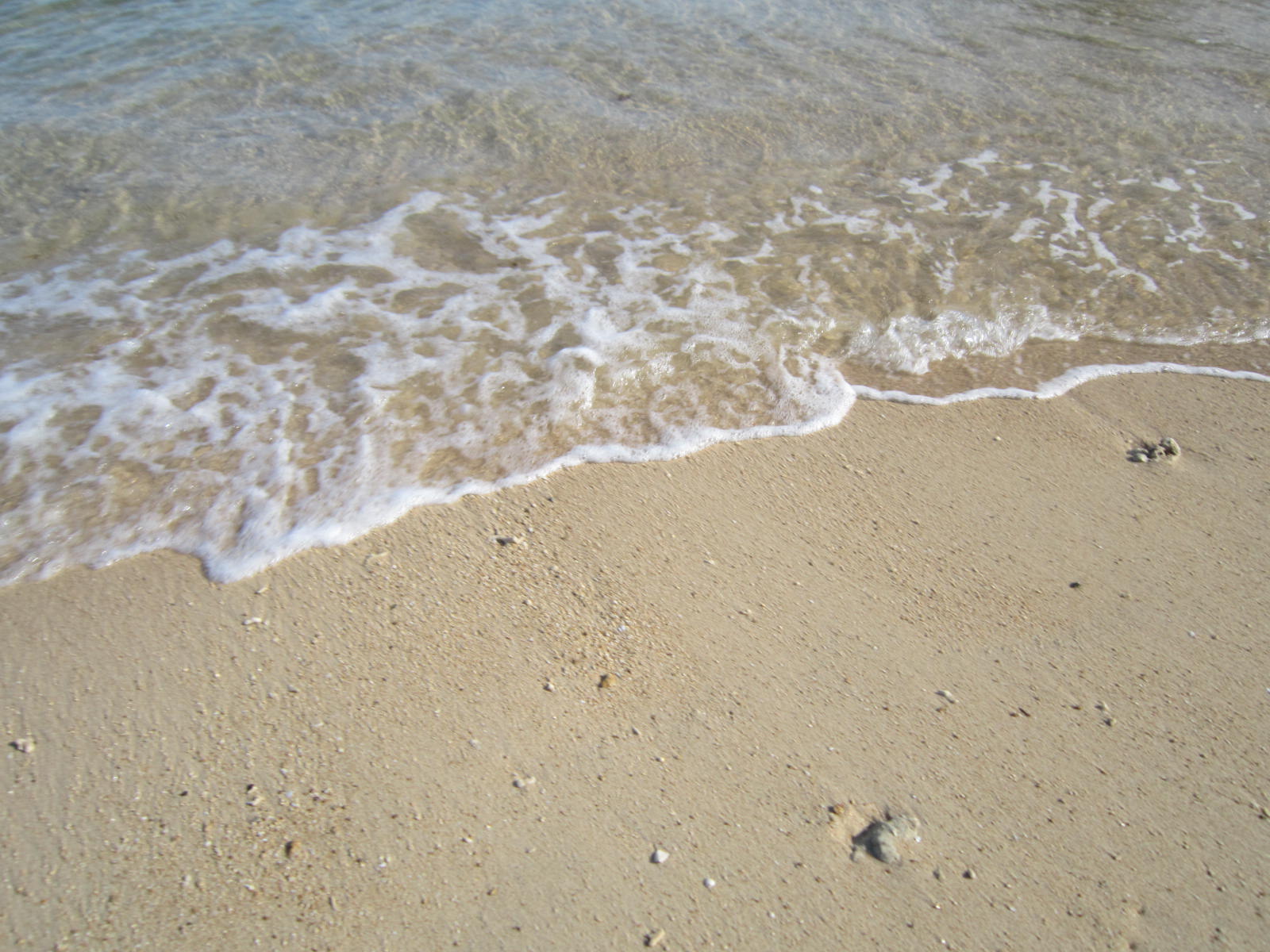 It's So Much Fun in Infanta: BALAKI ISLAND REVISIT