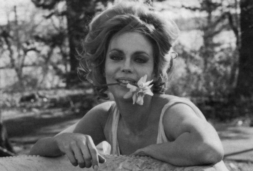 Shadows on the Wall: An Online Dark Shadows Fanzine: Night of Dark ...