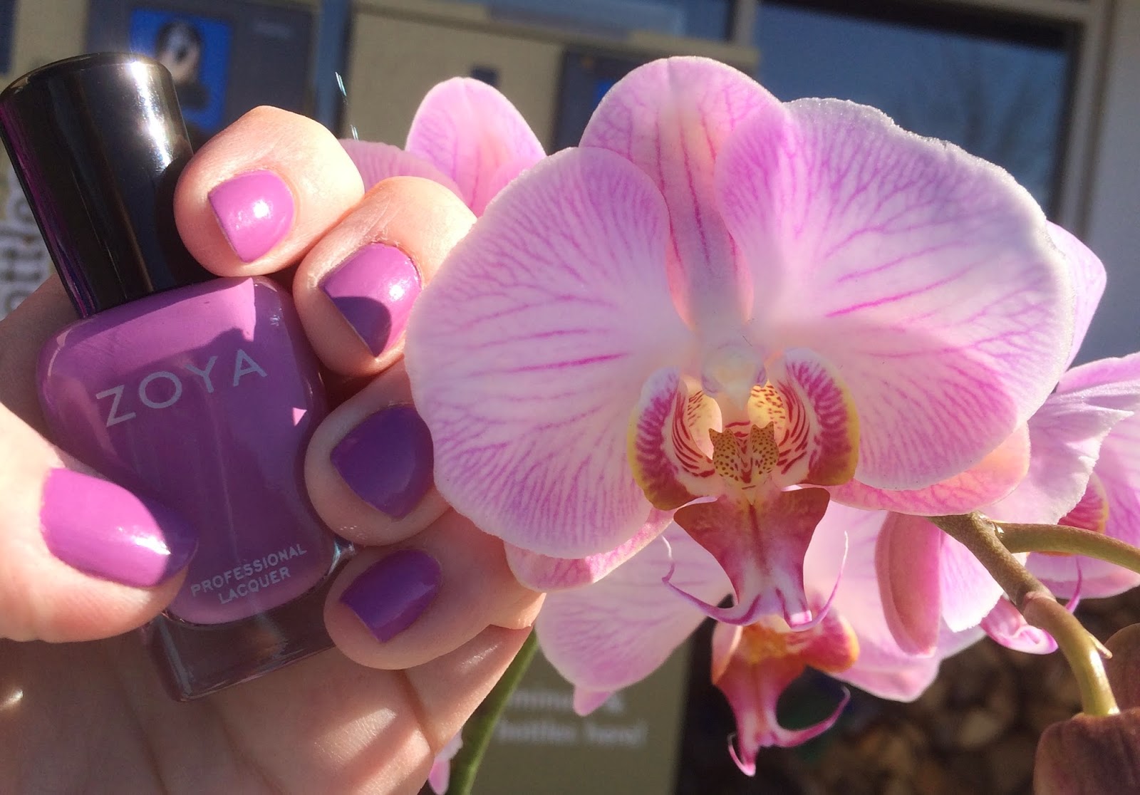 The Manic Painteress: Zoya Perrie--A True Radiant Orchid