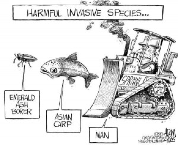 ADK Forever Wild: The Ultimate Invasive Species