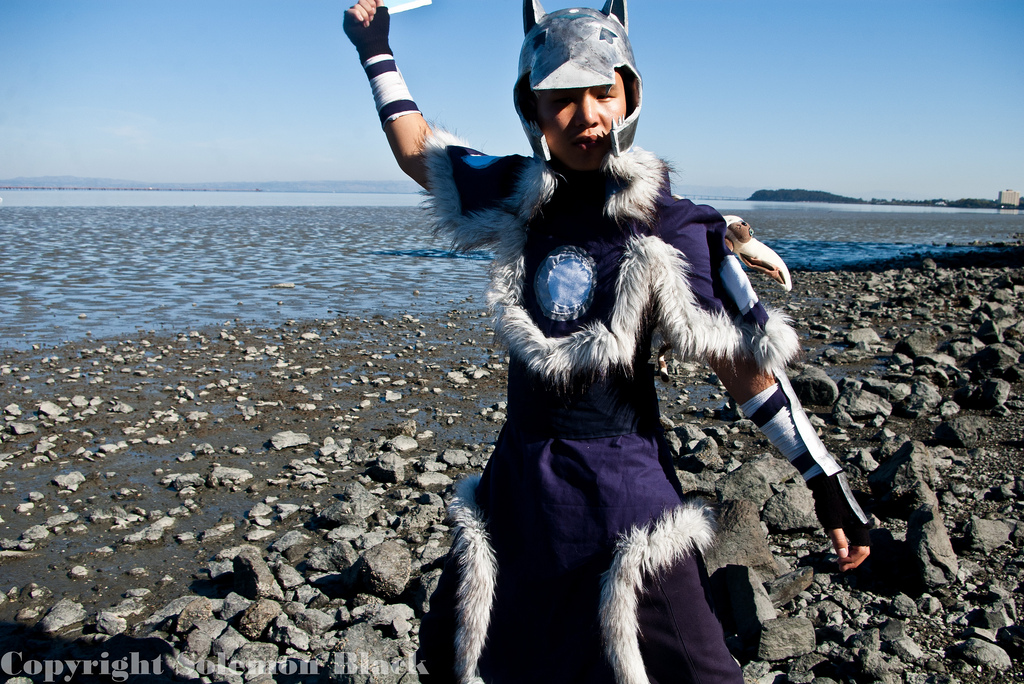 Geeks Rule The World: Sokka ( Wolf) - Avatar