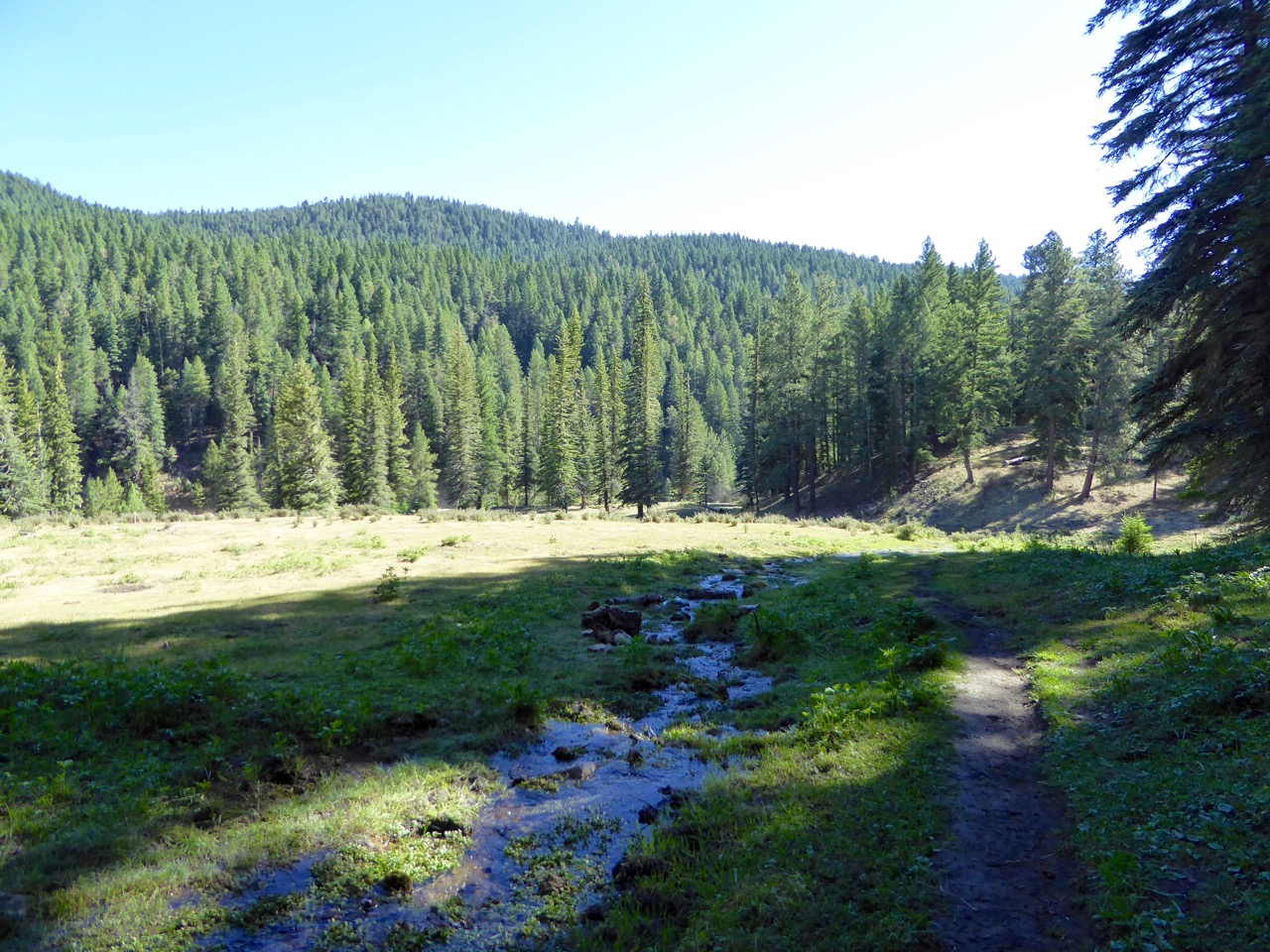 Greg's Running Adventures: Bluff Springs Lincoln National Forest