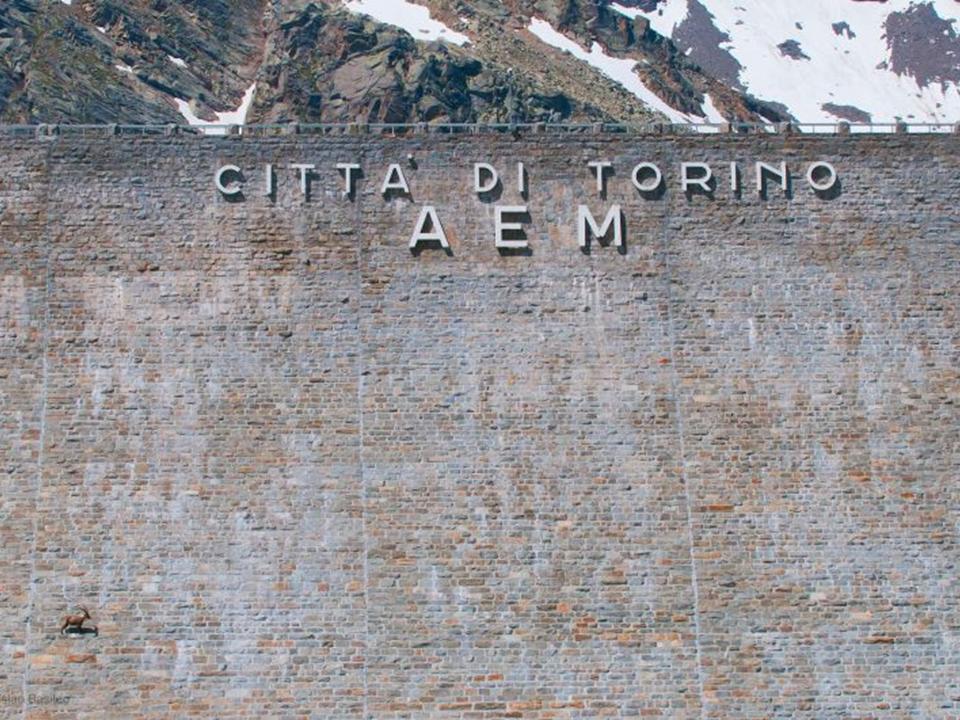 CLASA NOASTRĂ: [ FOTO ] CAPRA DE MUNTE