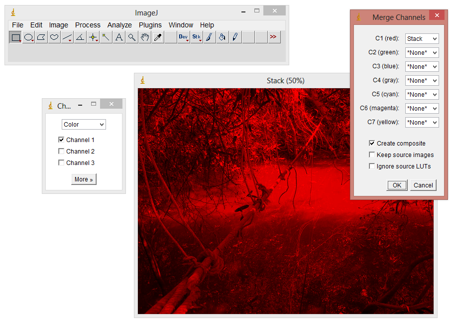 My imageJ: Stacks, Virtual Stacks and Hyperstacks