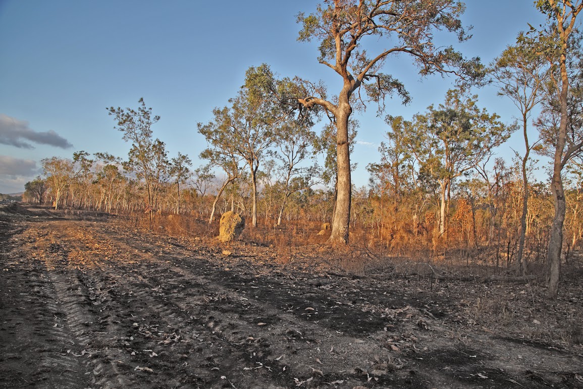 BunyipCo: October 2013