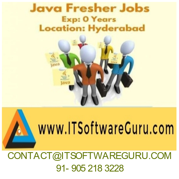 IT Software Guru: 2018