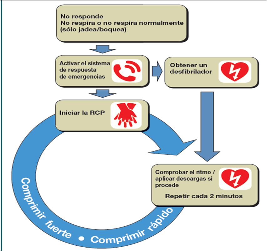 Lo que todos debemos saber hacer cuando el corazón se detiene: marzo 2016