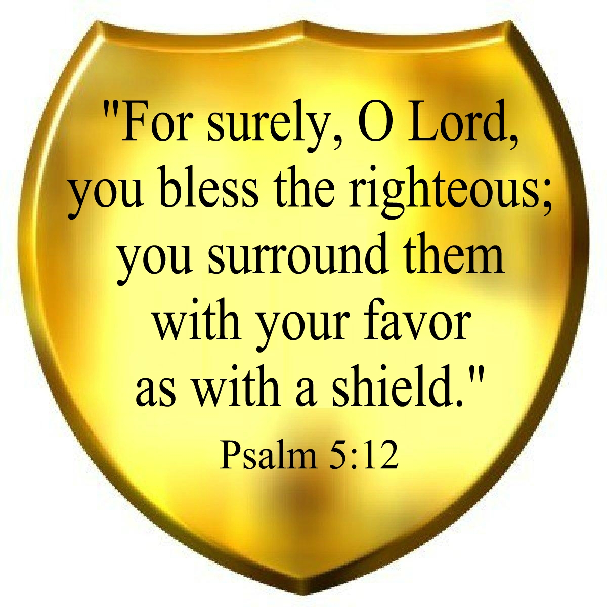 Praises and Prayers: Lord is your SHIELD!