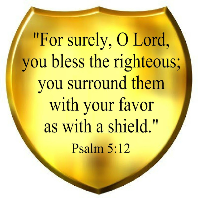 Praises and Prayers: Lord is your SHIELD!