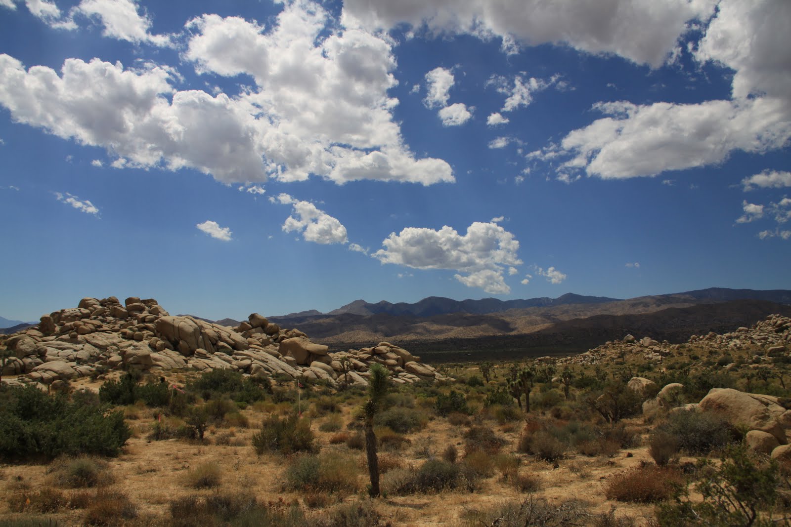 My Scenic Byway: High Desert Beauty