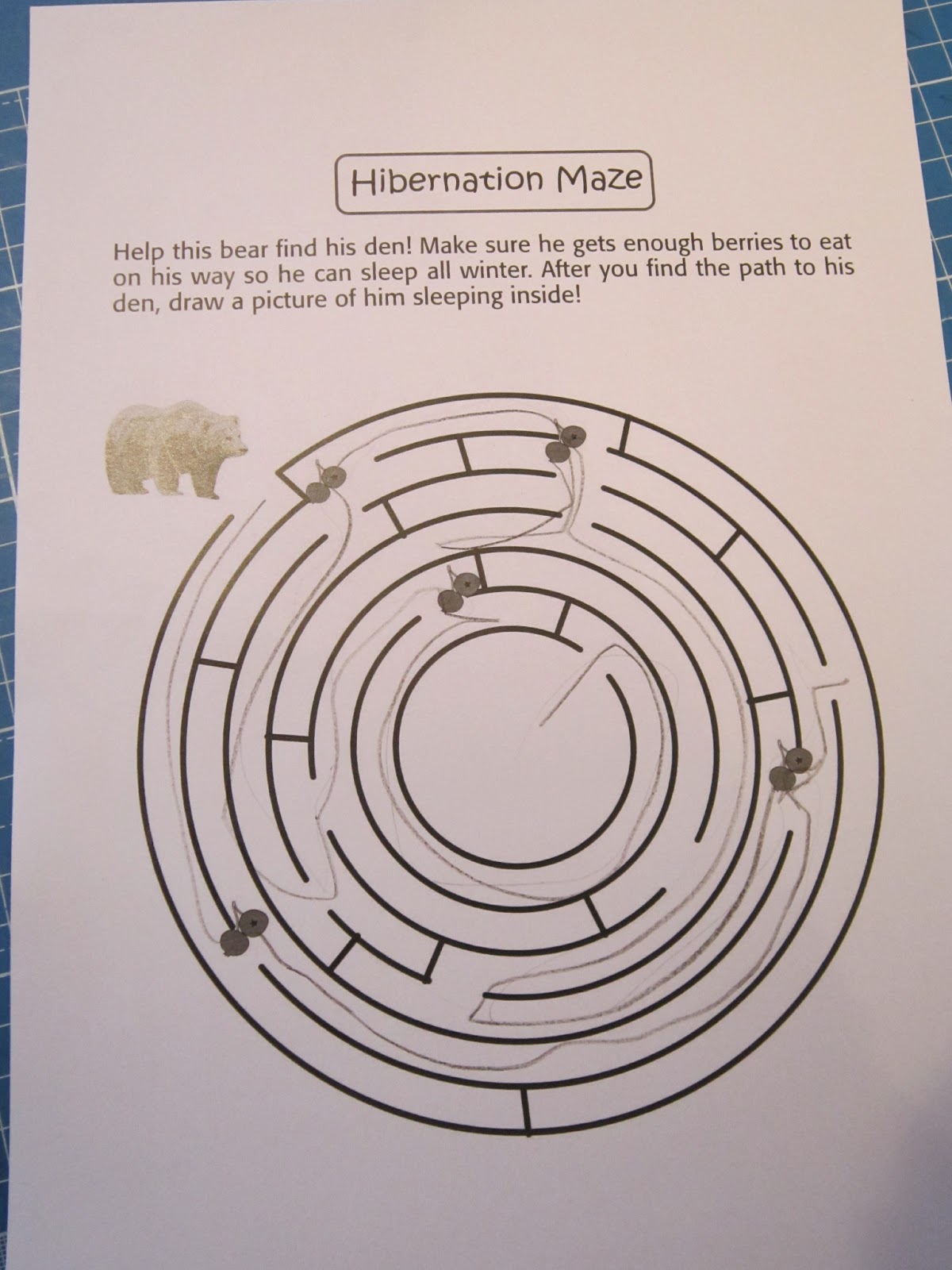 The Tiger Chronicle: Preparing for winter: Hibernation