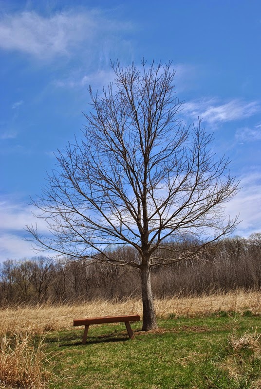 Southeastern PA Hiking: Binky Lee Preserve