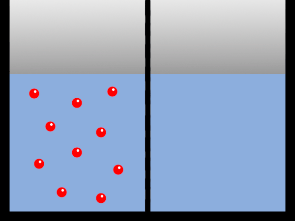 Proyecto Nautilus La ósmosis